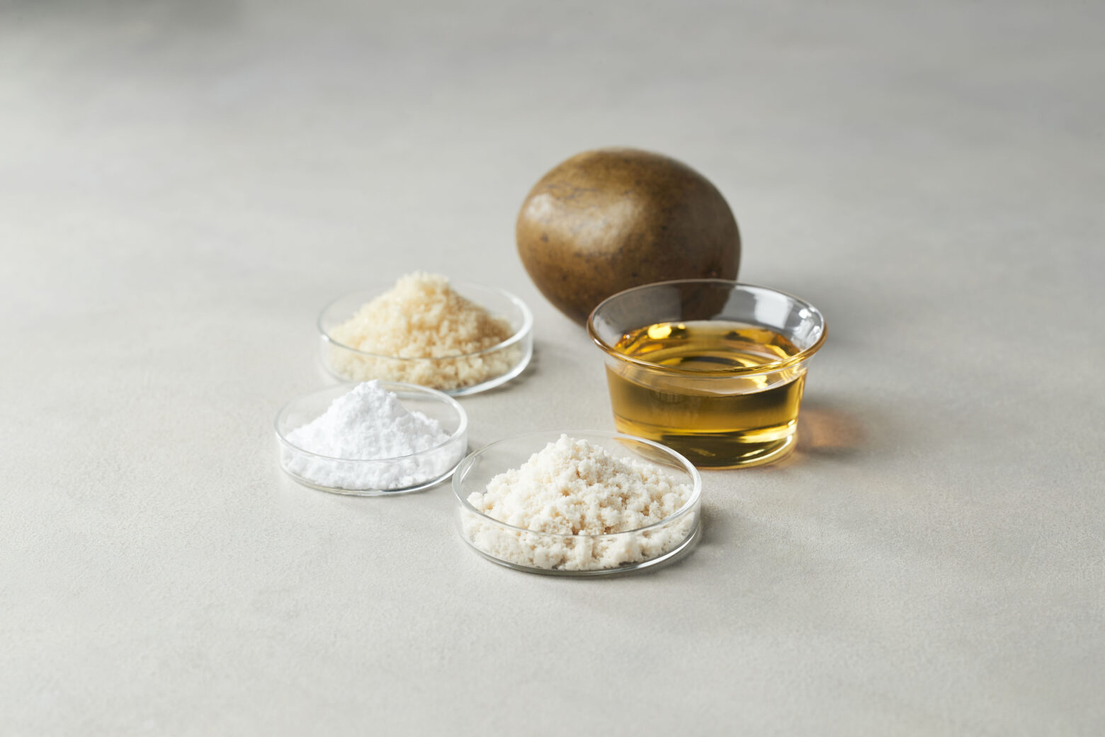 カレースター | KIDS SNACK LAB（キッズスナックラボ）